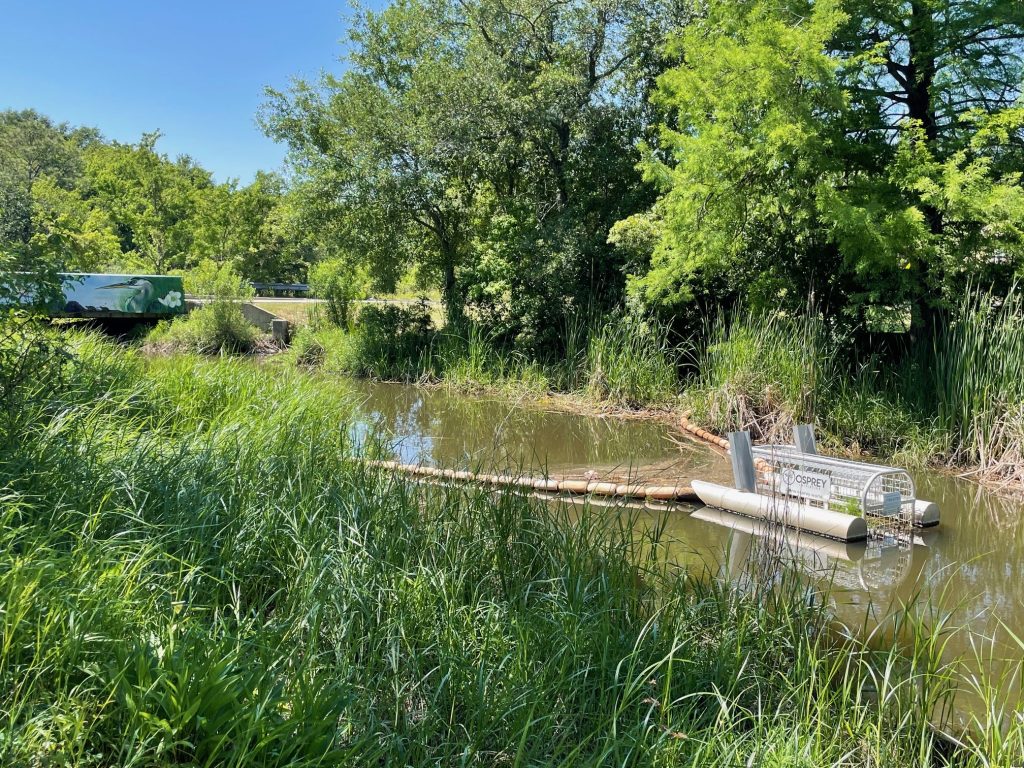 Weekly "What is it?": In-Stream Trash Collection - UF/IFAS Extension ...