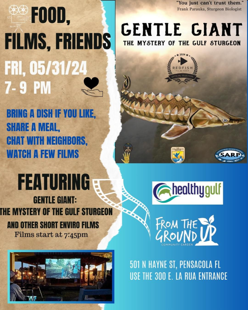 Weekly "What is it?": Gulf sturgeon - UF/IFAS Extension Escambia County