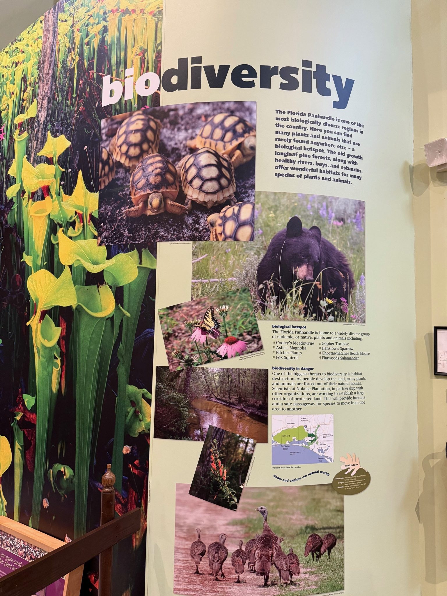 Weekly "What is it?": Biodiversity - UF/IFAS Extension Escambia County