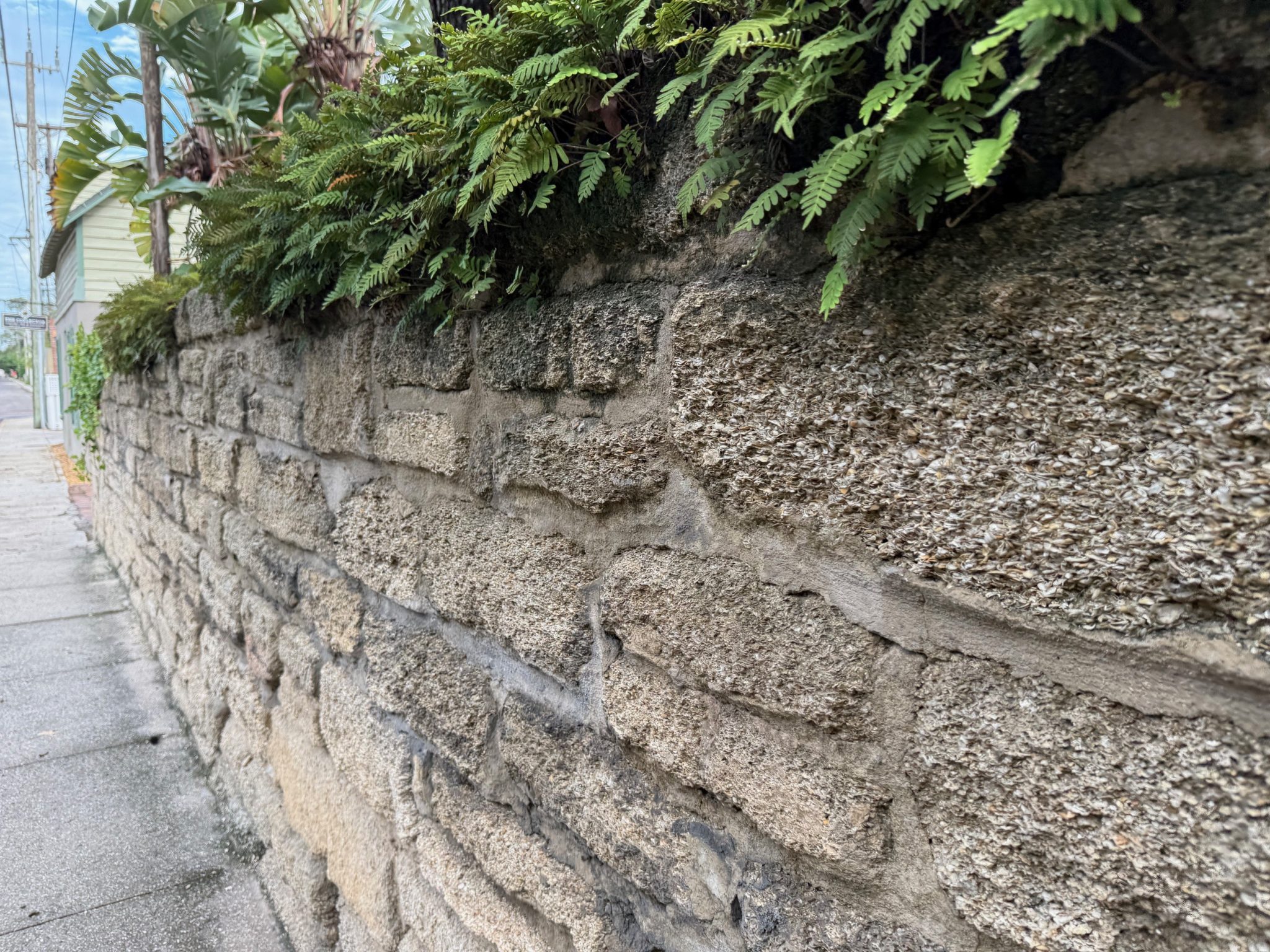 Weekly "What is it?": Coquina Rock - UF/IFAS Extension Escambia County