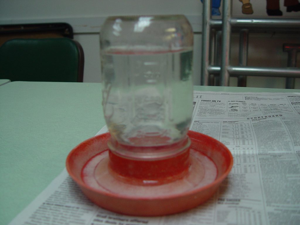 Successfully Caring for Chicks - UF/IFAS Extension