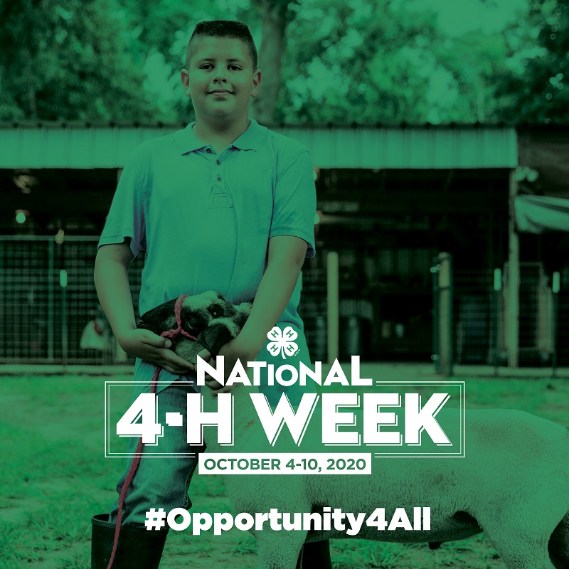 National 4-H Week—Opportunity for All - UF/IFAS Extension