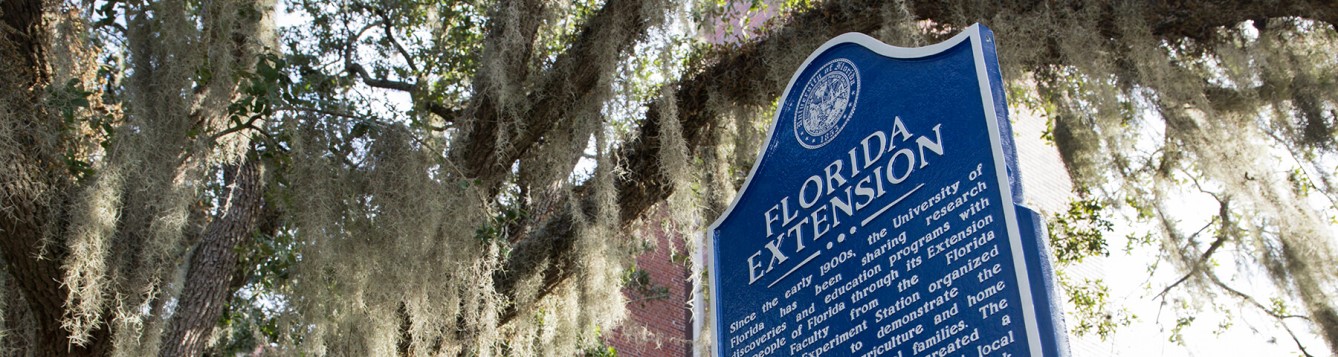 Blogging the UF/IFAS Extension Story - UF/IFAS Extension