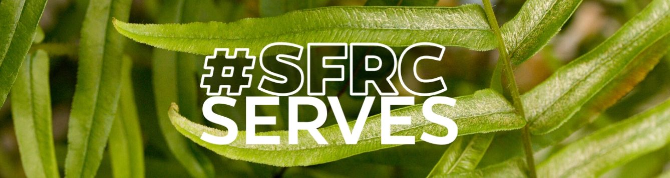SFRC Serves: William Yarley - School of Forest, Fisheries, and ...