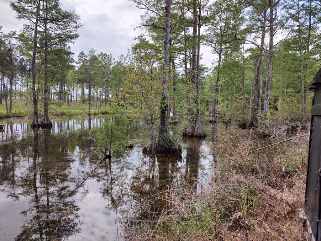 Congratulations Ronnie Stephenson: 2024 Florida Land Steward of the ...