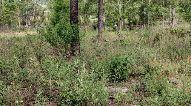 Florida Land Steward - University of Florida, Institute of Food and ...