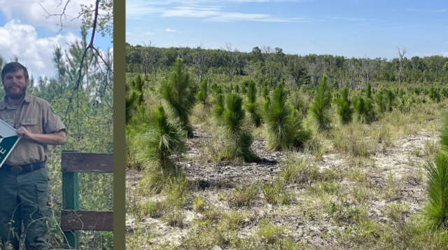 School of Forest, Fisheries, & Geomatics Sciences - Institute of Food ...