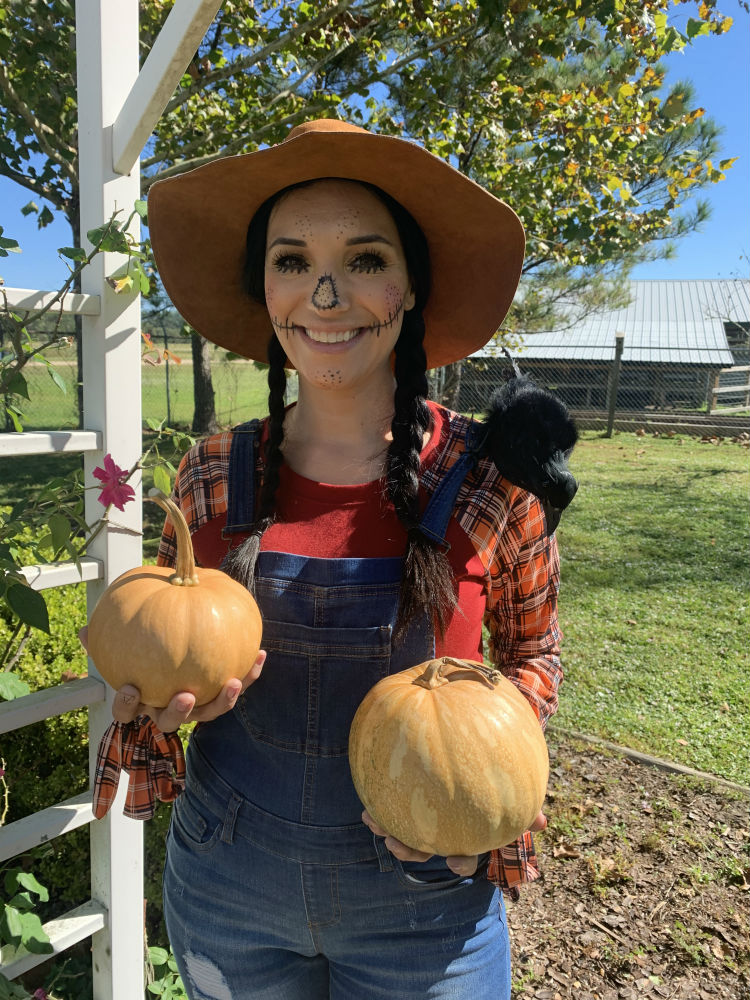Versatility of the Native Pumpkins - UF/IFAS Extension Flagler County