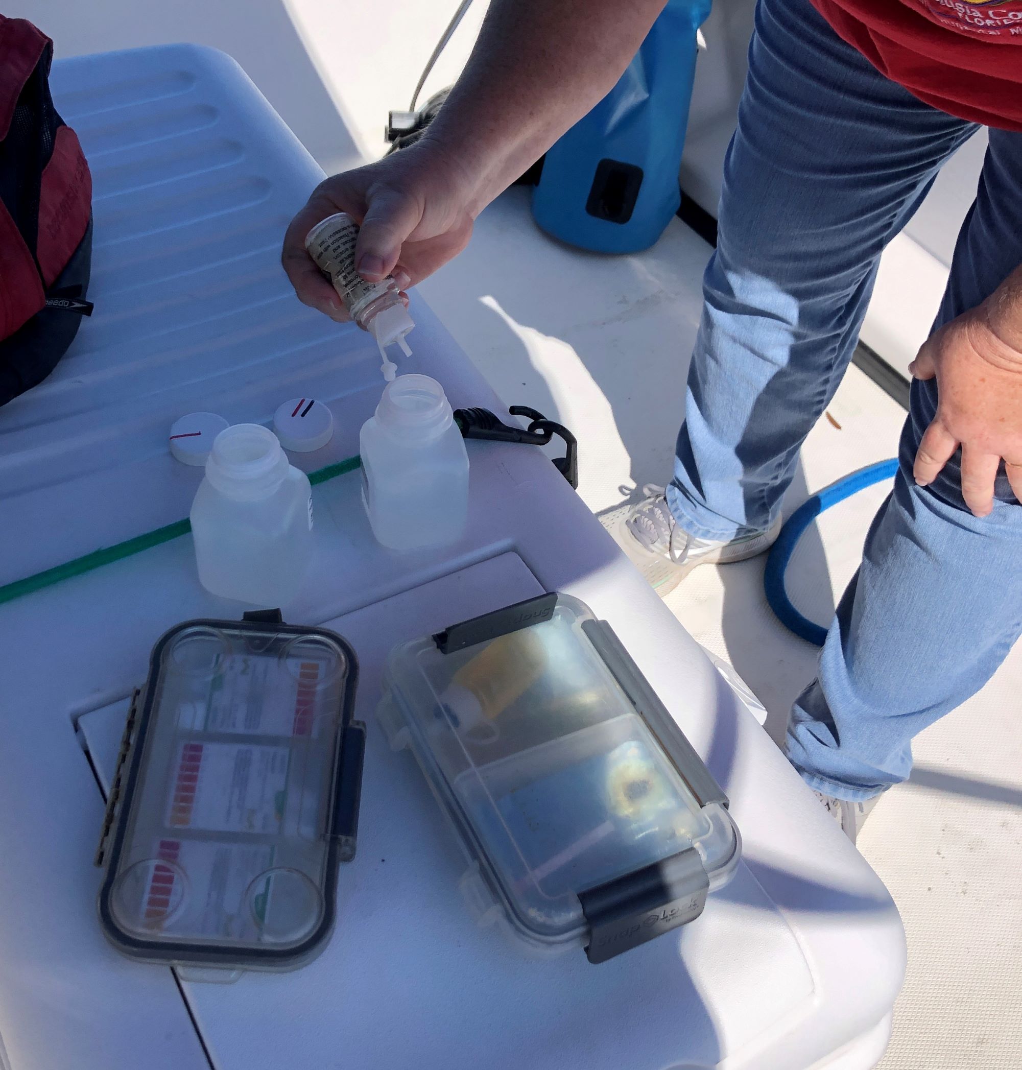 August is National Water Quality Month - UF/IFAS Extension Flagler County