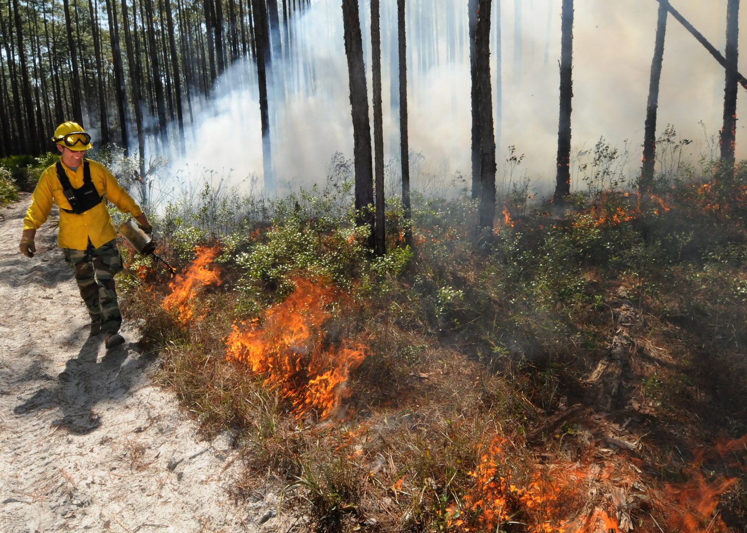Prescribed Fires: A little now means A LOT less Later - UF/IFAS ...