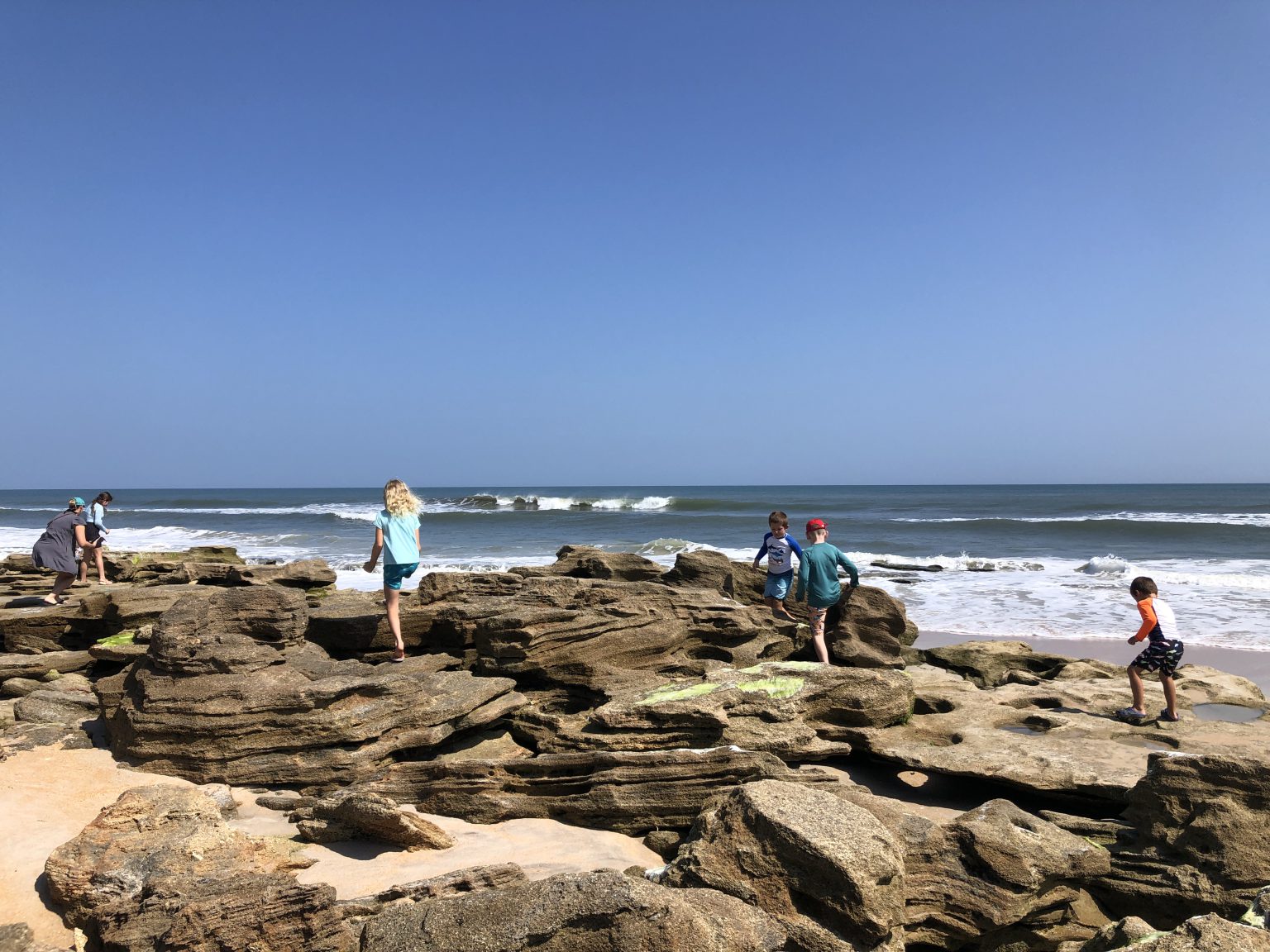 Take yourself on a field trip at River to Sea Preserve! - UF/IFAS ...