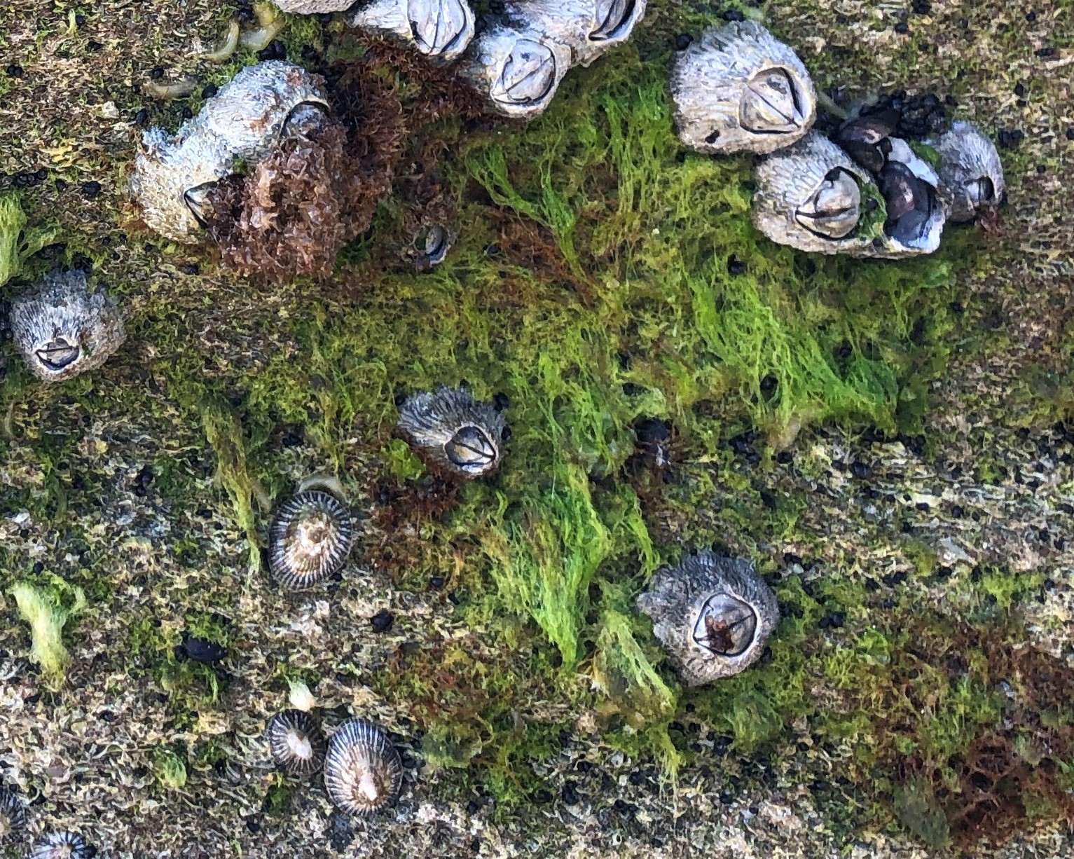 Take yourself on a field trip at River to Sea Preserve! - UF/IFAS ...