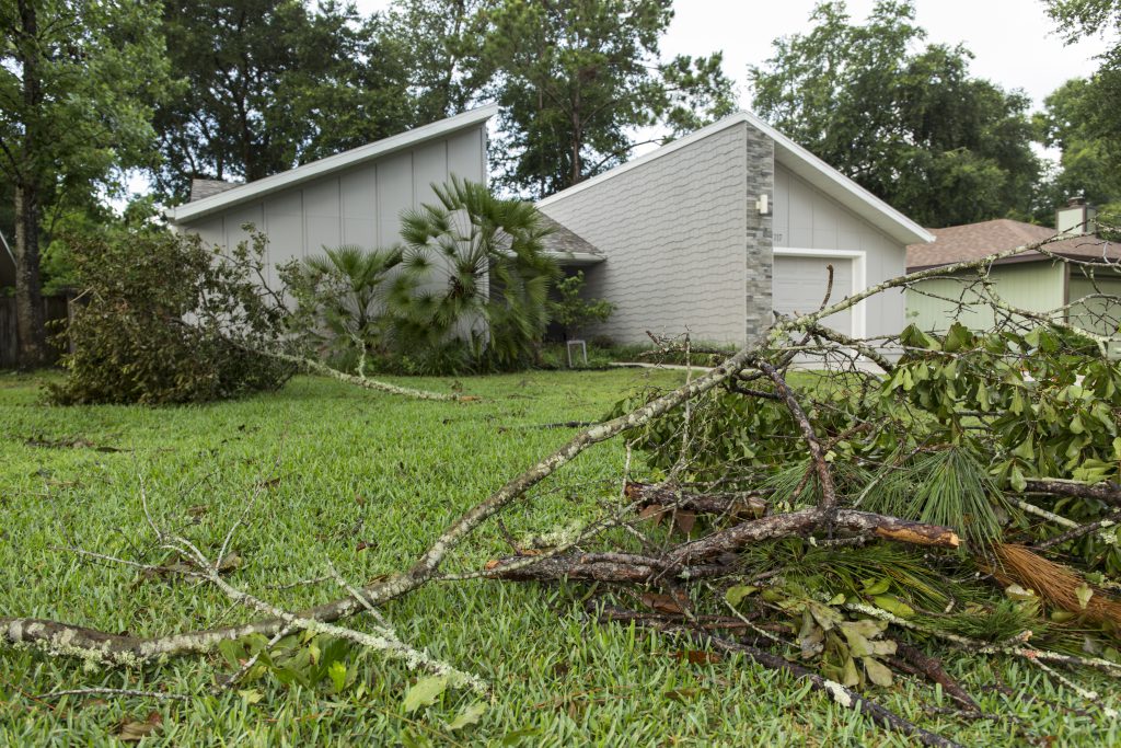 Is Your Landscape Prepared For The Storm? - HOME LANDSCAPES