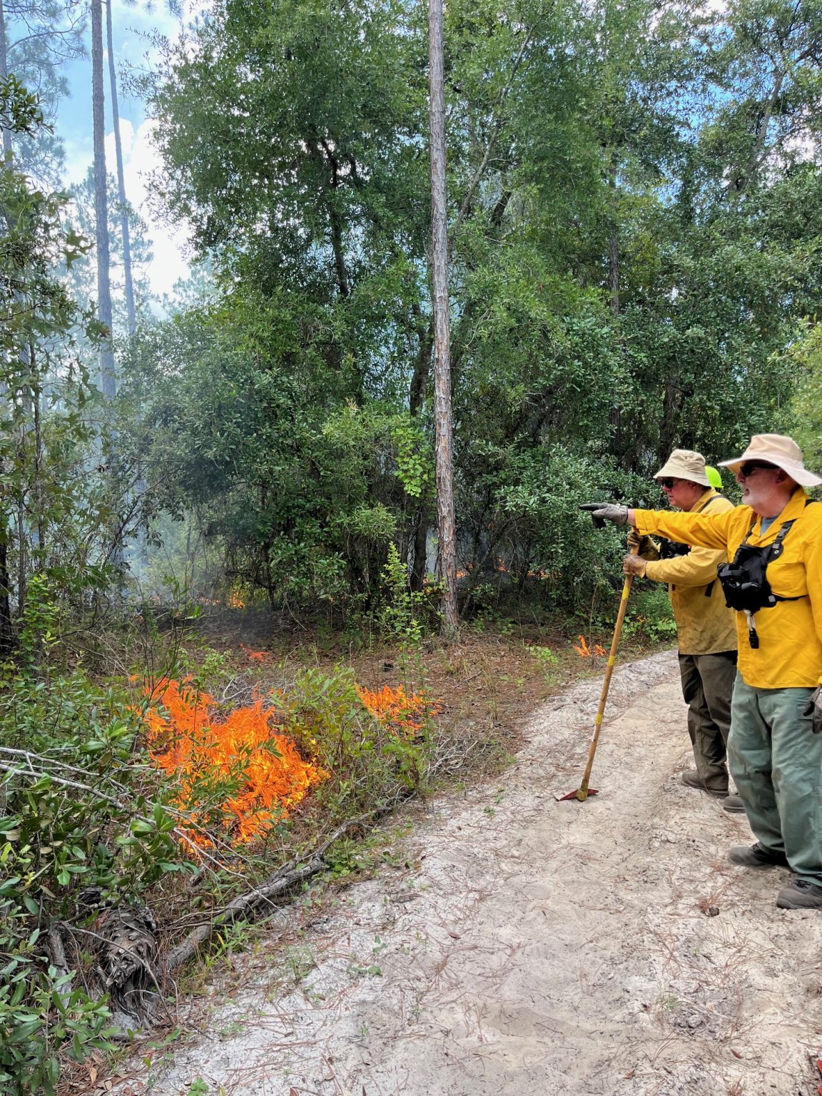 Learn to Burn: A Week at Prescribed Burn School in Old Florida - UF/IFAS Extension Flagler County