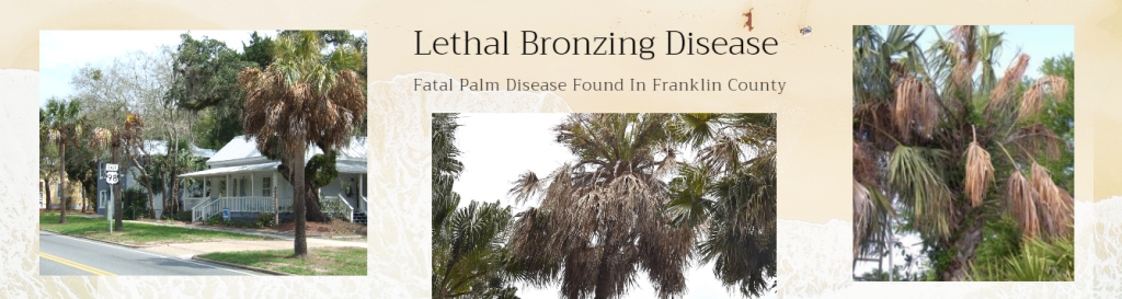 Horticulture Archives - UF/IFAS Extension Franklin County