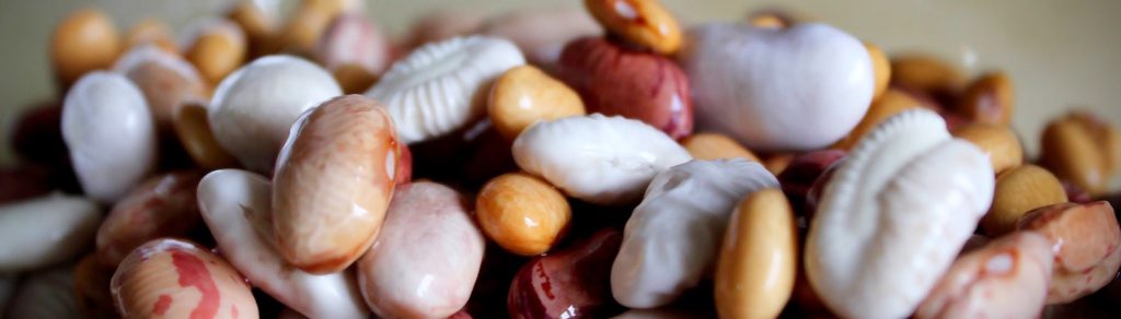 UF/IFAS Food Science and Human Nutrition Department - UF/IFAS Food ...