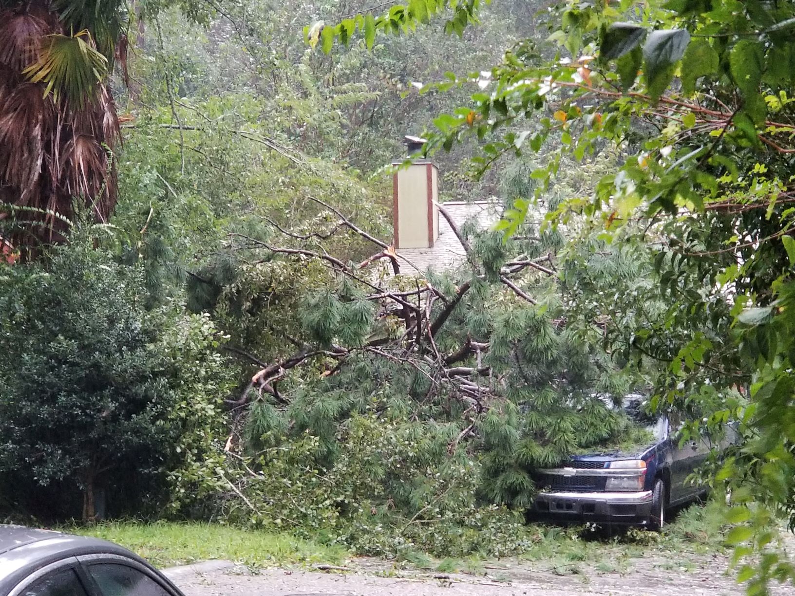 After the storm, recovery begins - UF/IFAS Extension Gadsden County