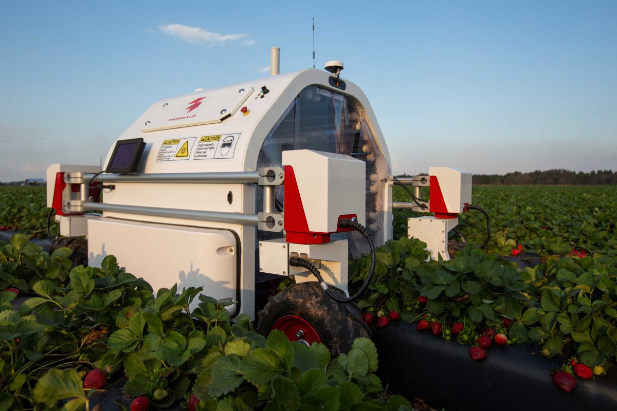 The New Face of Florida Farm Workers - Robots - Gulf Coast Research and ...