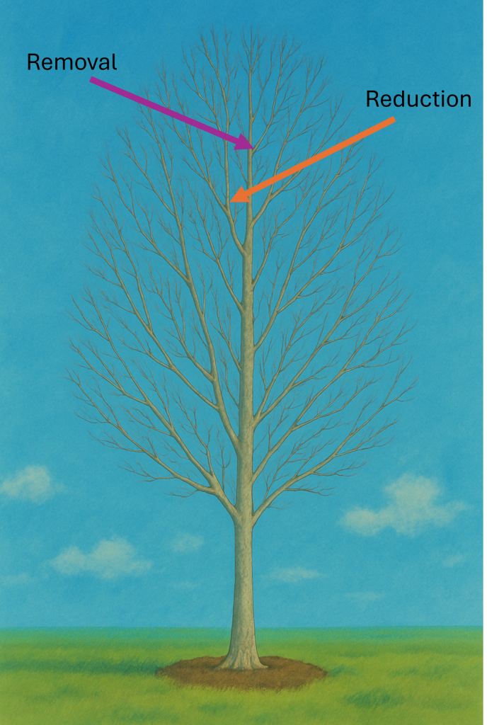 A Fork in the Road: How Pruning Decisions Impact Codominant Unions ...