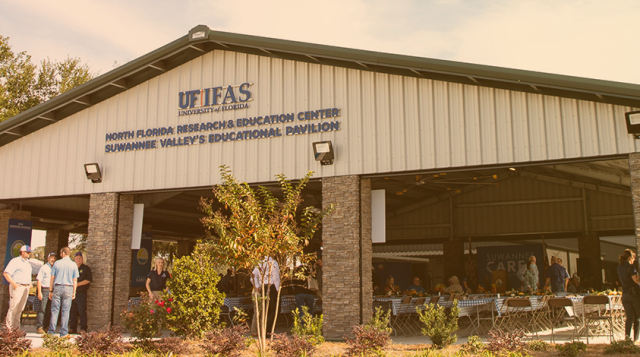 UF/IFAS Extension Administration - University of Florida, Institute of ...