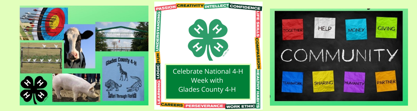 Celebrate National 4-H Week with Glades County 4-H - UF/IFAS Extension ...