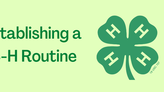 4-H Youth Development - UF/IFAS Extension