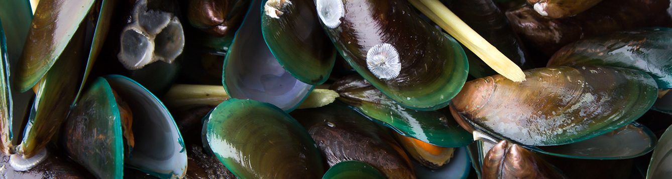 Coasts & Marine – UF/IFAS Extension Hamilton County