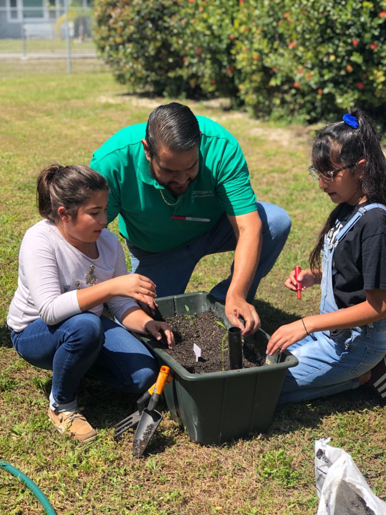 Safety in the Garden - UF/IFAS Extension Hardee County