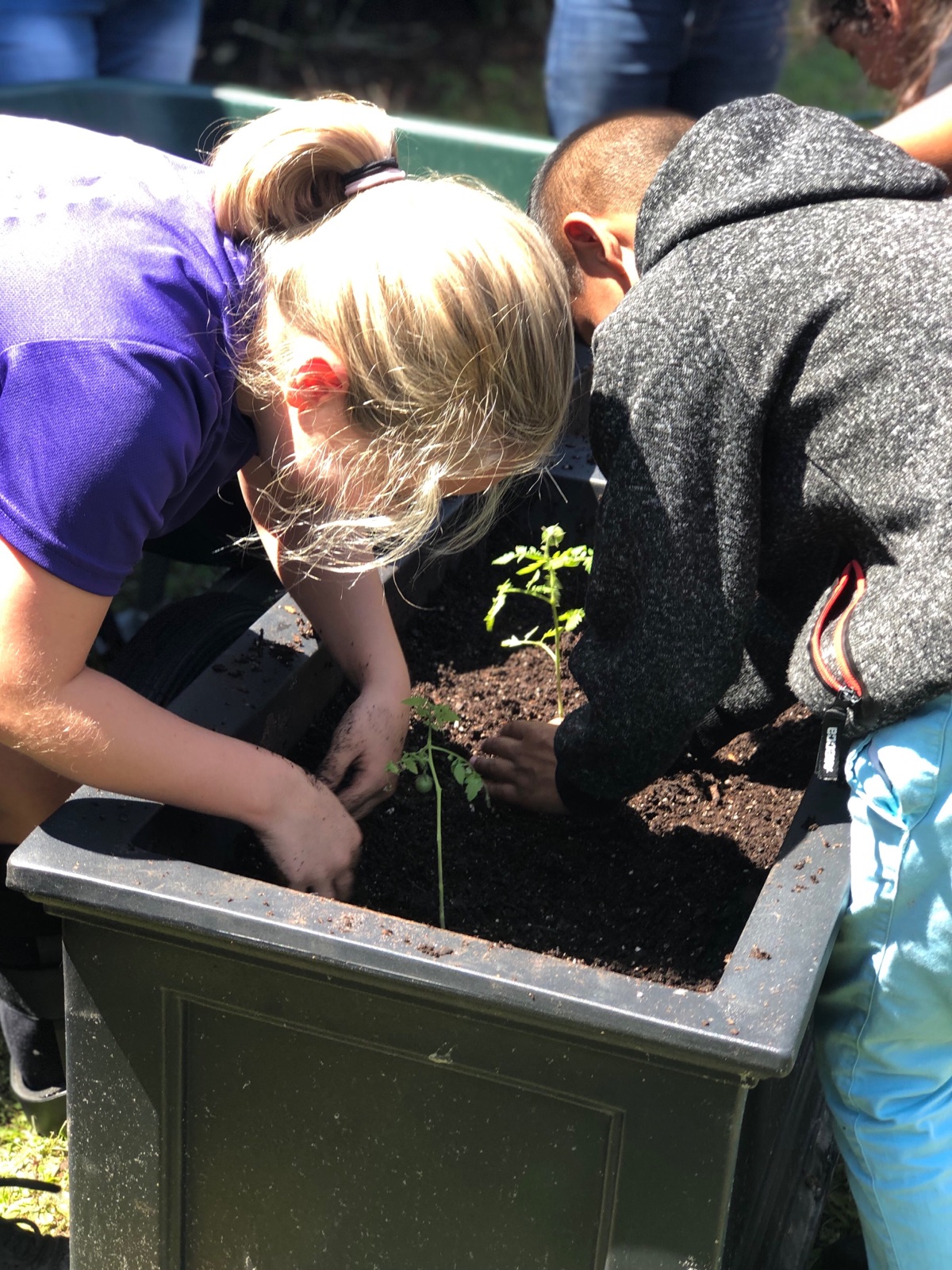 Safety in the Garden - UF/IFAS Extension Hardee County