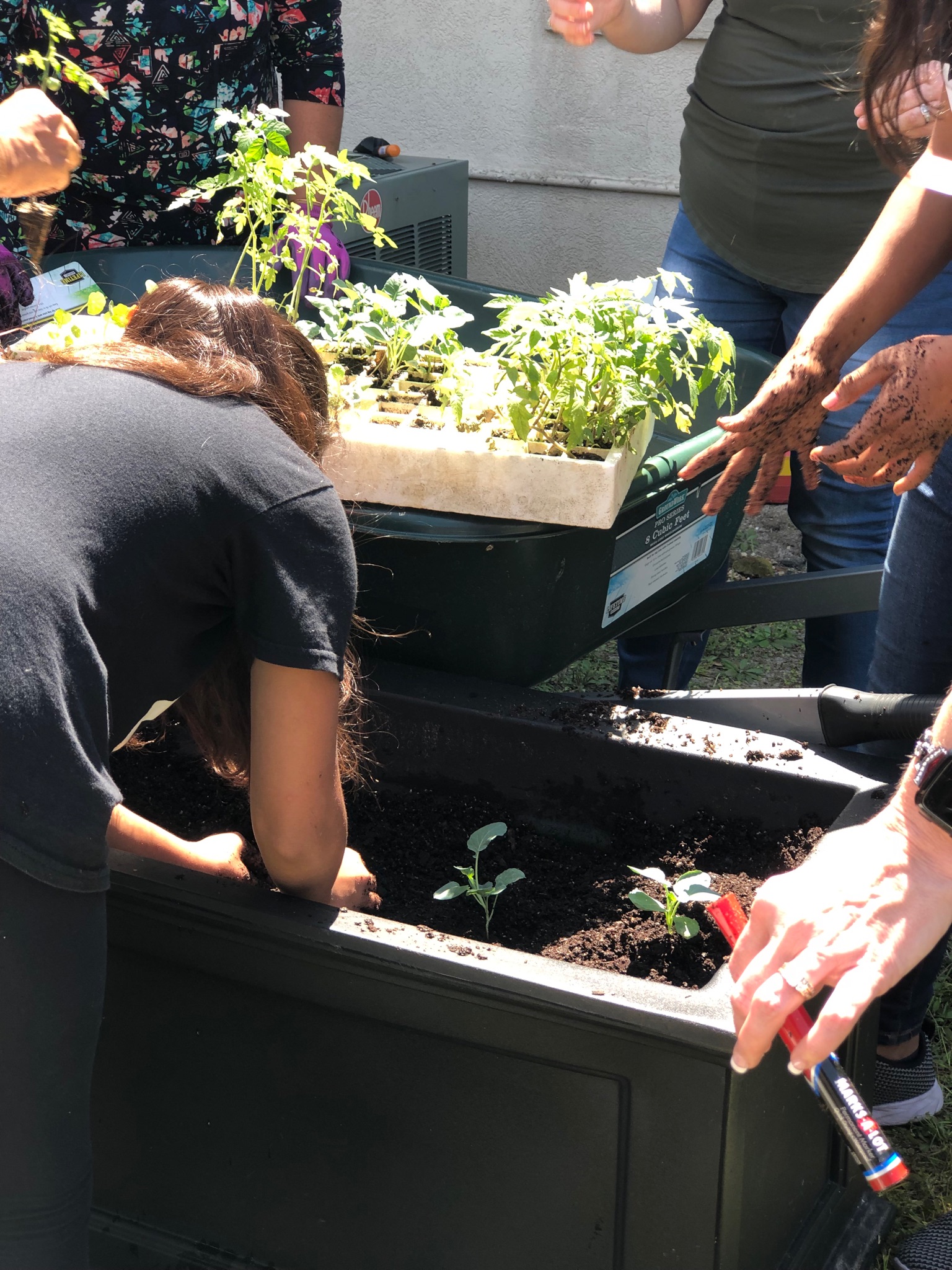 Safety in the Garden - UF/IFAS Extension Hardee County