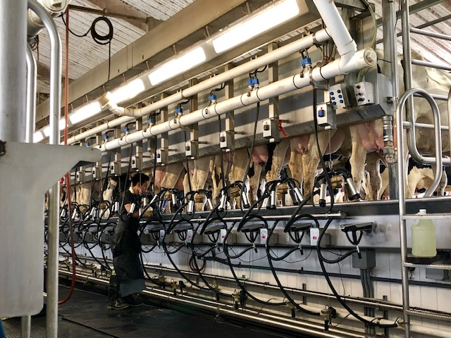 Livestock Ag Tour 2019 - UF/IFAS Extension Highlands County