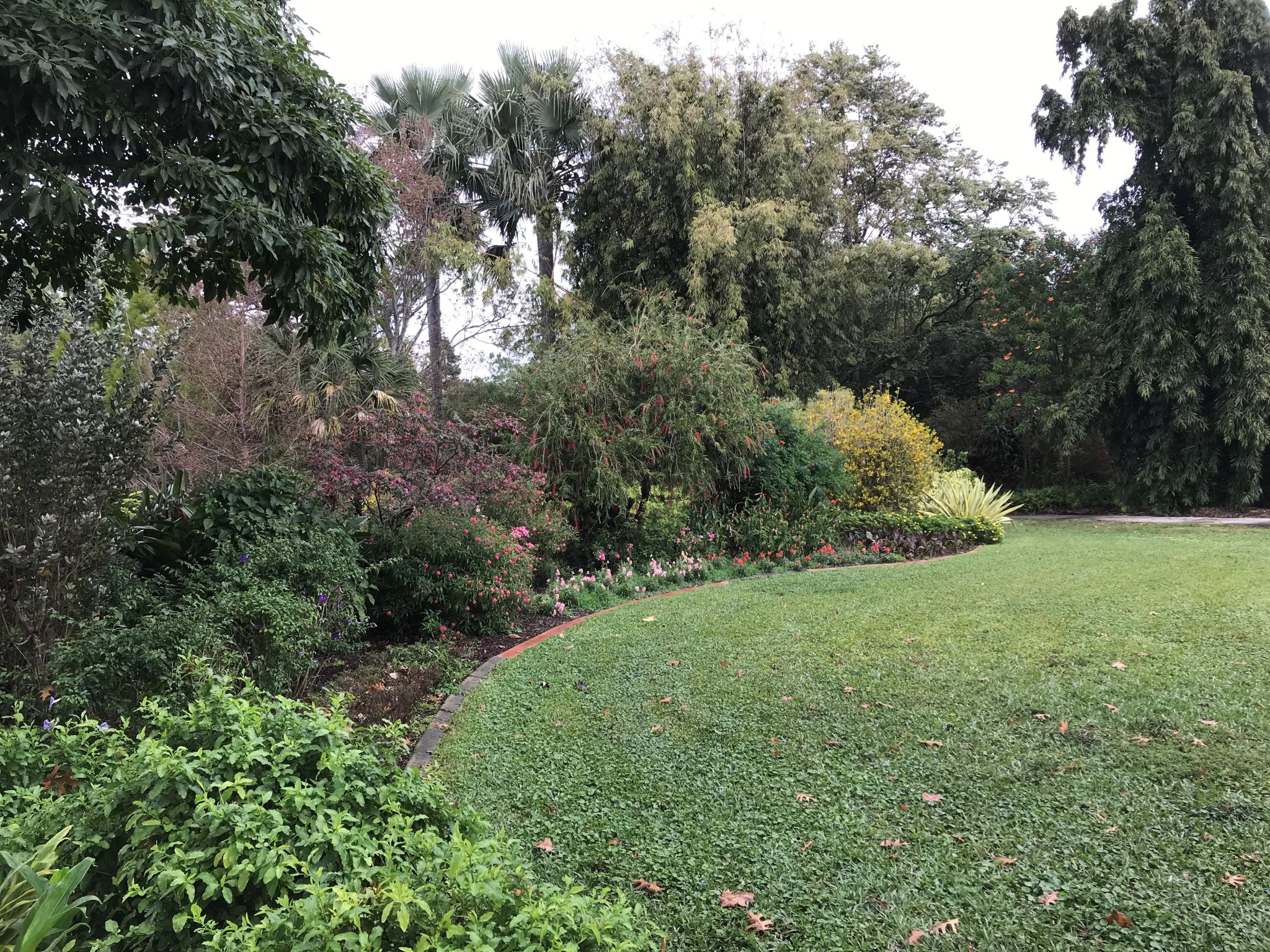 Florida-Friendly Landscaping™ is what your yard needs - UF/IFAS ...