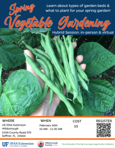 UF/IFAS Extension offers Spring Vegetable Gardening Class in Hybrid ...