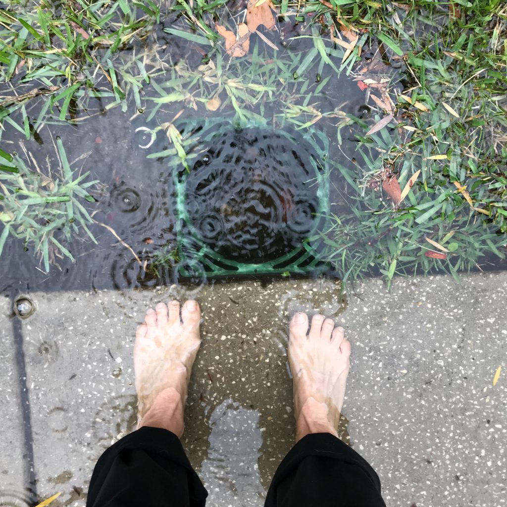 Fertilizer Ordinances: Why Do We Have Them? - UF/IFAS Extension ...