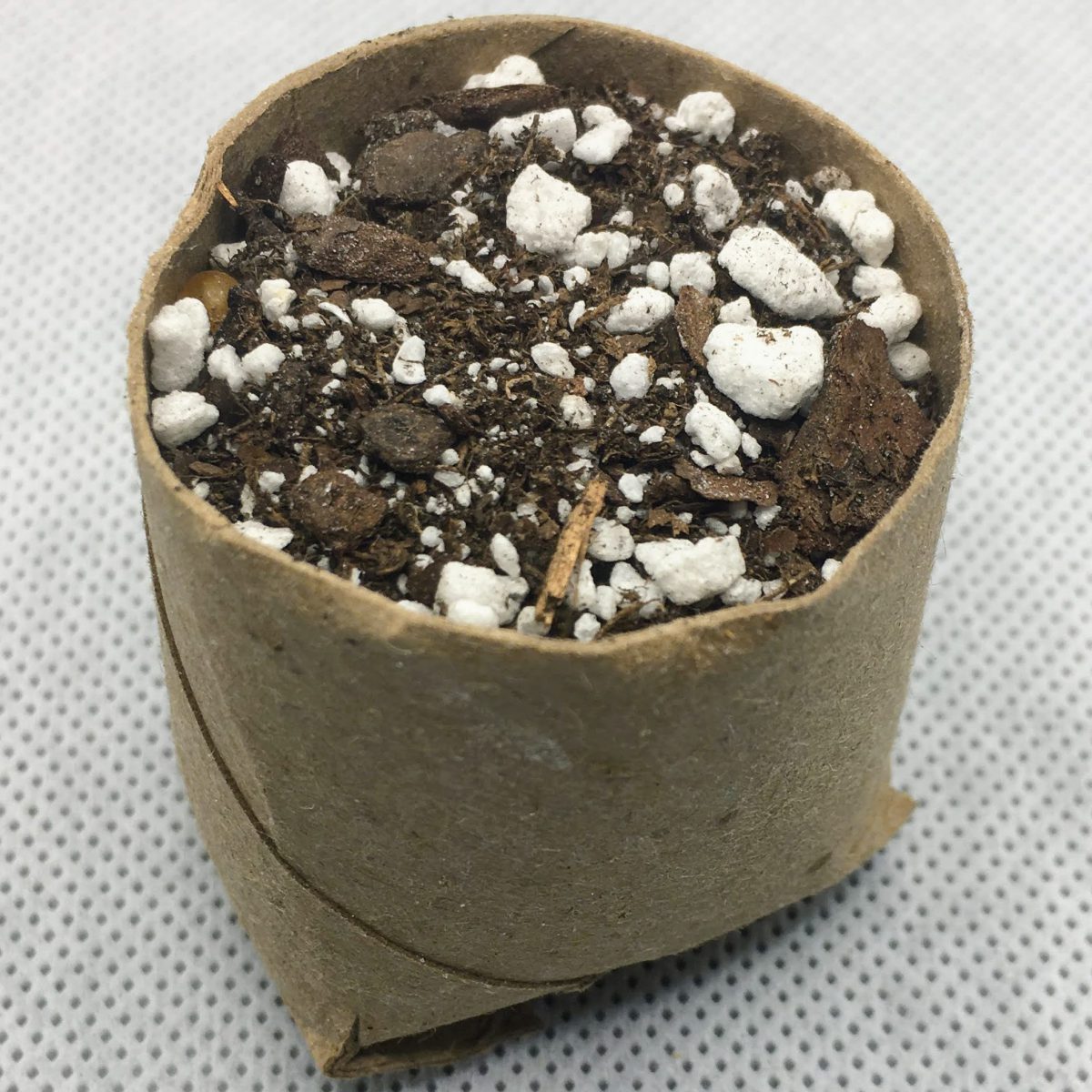 Tips for the Student Gardener: DIY Seed-Starting Containers ...