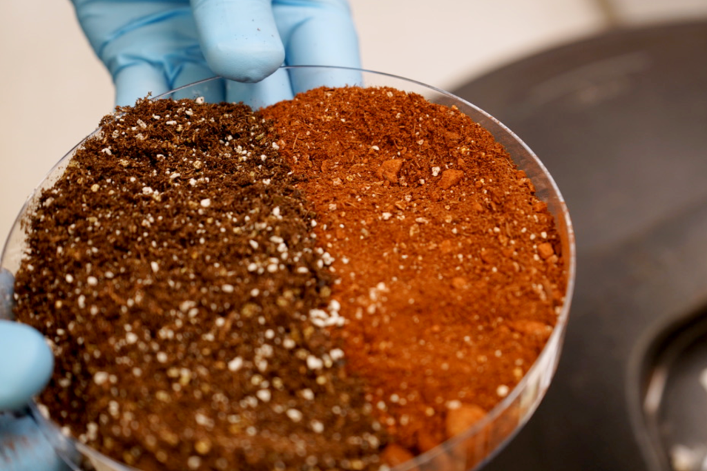 Phytomining: Growing a U.S. Solution to the Nickel Supply Crisis - Horticultural Sciences Department