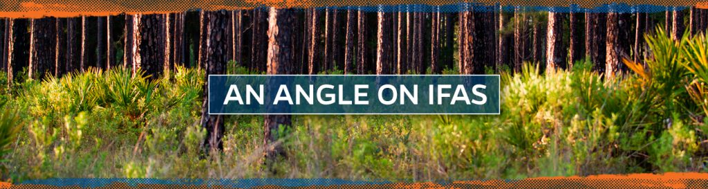 Scott Angle – Scott Angle