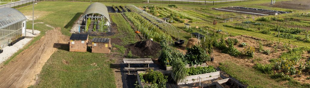 Scott Angle - Scott Angle