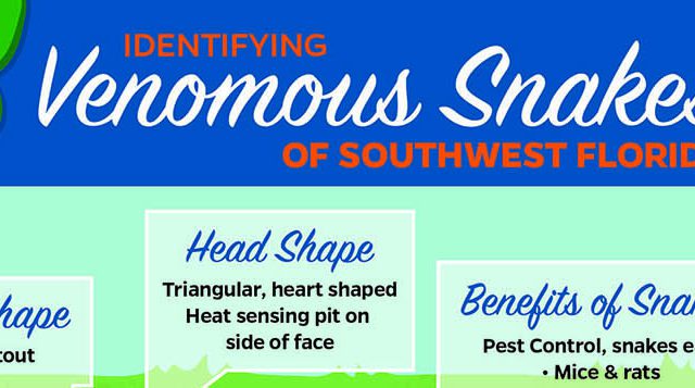 GRAPHIC DESIGN SERVICES - UF/IFAS