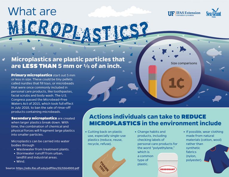 Florida Sea Grant What are Microplastics Infographic - Communications