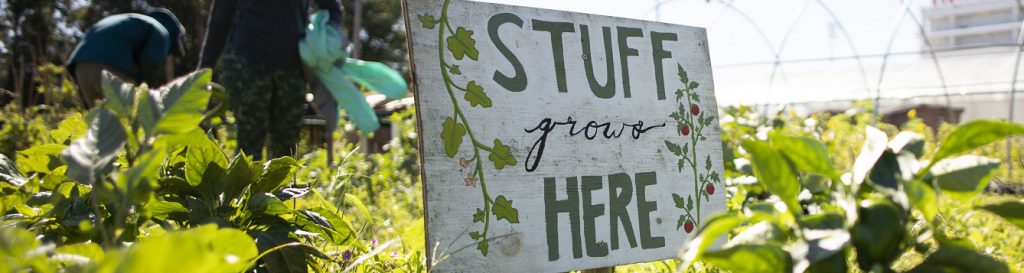 Communications – UF/IFAS Communications