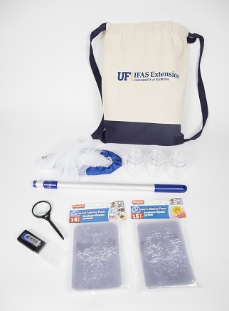 All a-flutter for Pollinator Week - Communications