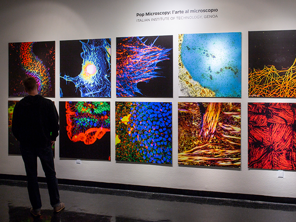 Choosing the Right Photos and Illustrations Series: Color & Mood ...