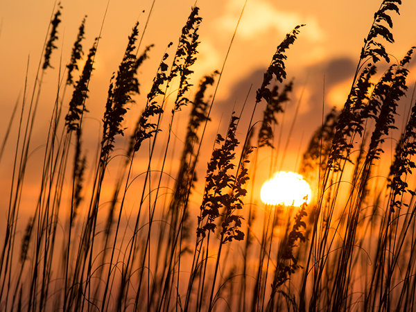 Choosing the Right Photos and Illustrations Series: Color & Mood ...