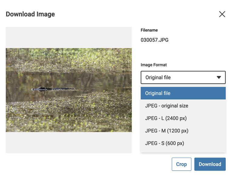 New UF/IFAS Photo Database - Communications