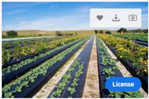 Access to Adobe Stock Images - Communications