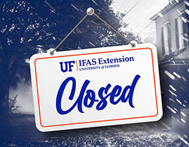 Canva Marketing Templates - Communications