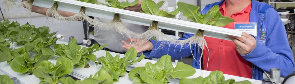 Communications - UF/IFAS Communications