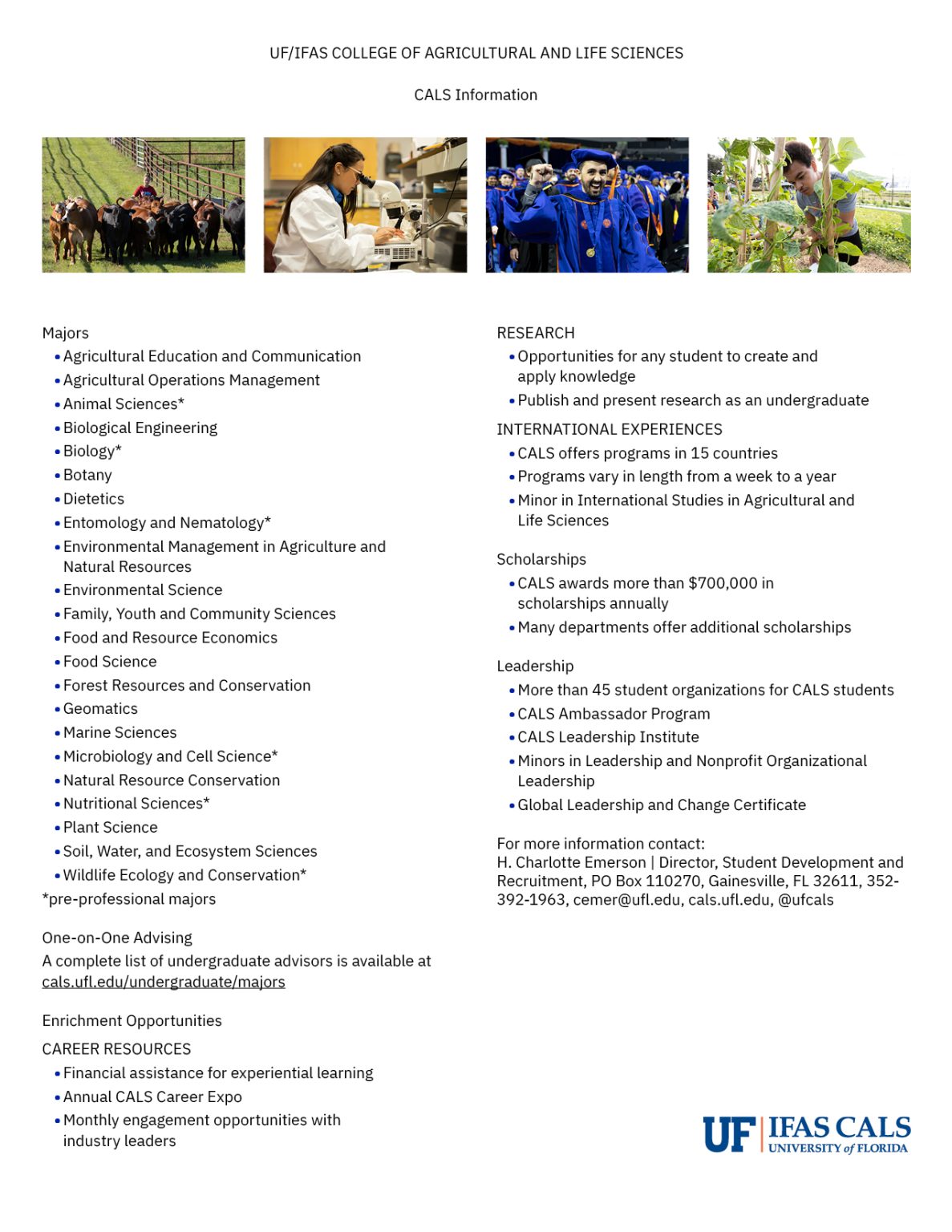 The Role of Visual Hierarchy in Clear Communication - Communications