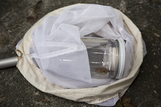 Summer Fun Ideas - UF/IFAS Extension Indian River County